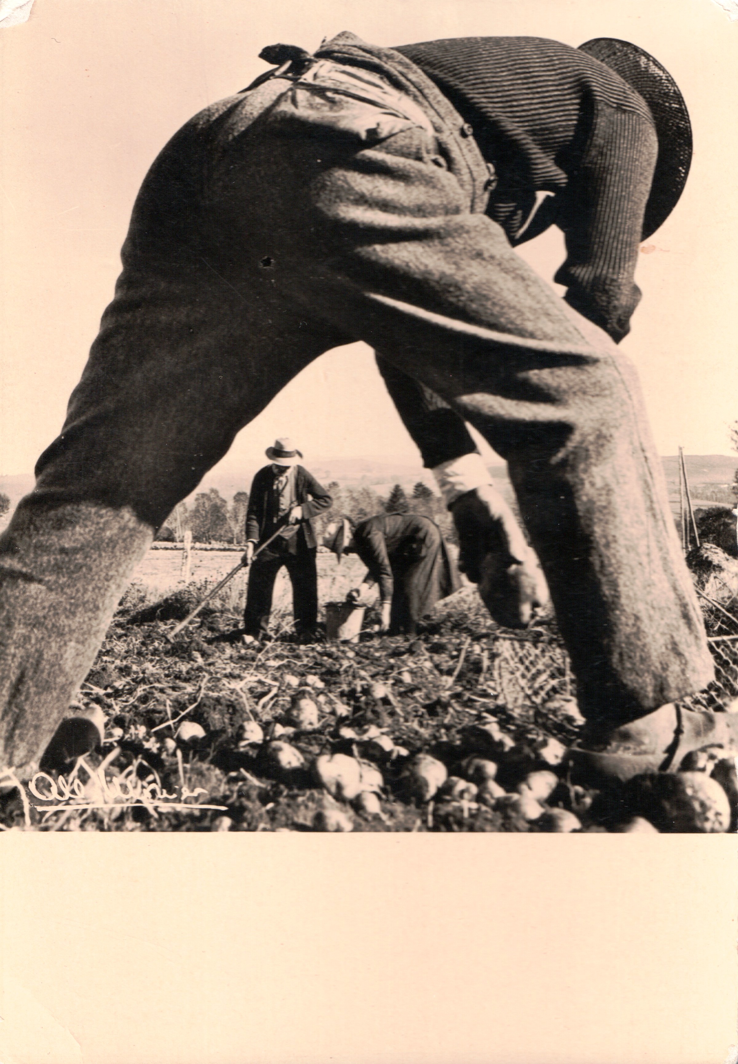 Albert Monier | Wonderings